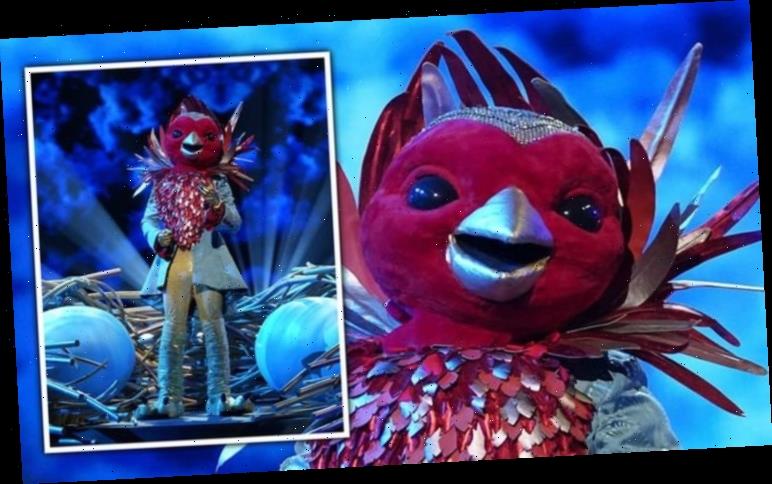 The Masked Singer: Robin's identity 'confirmed' as star shares major ...