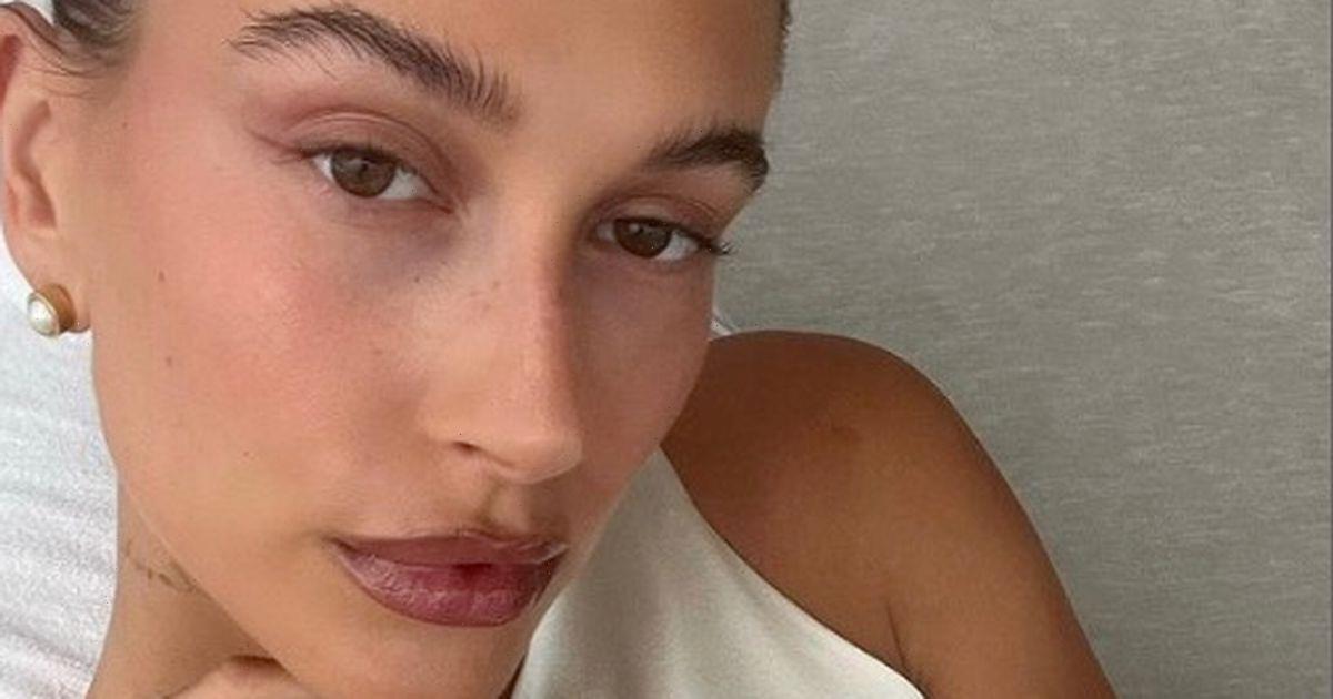 16 Cat Zoom Backgrounds That Are Purrfect For Your Next Video Chat ...